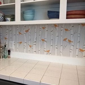 Kitchen is Transformed with Birds & Birch Backsplashes | Casart ...